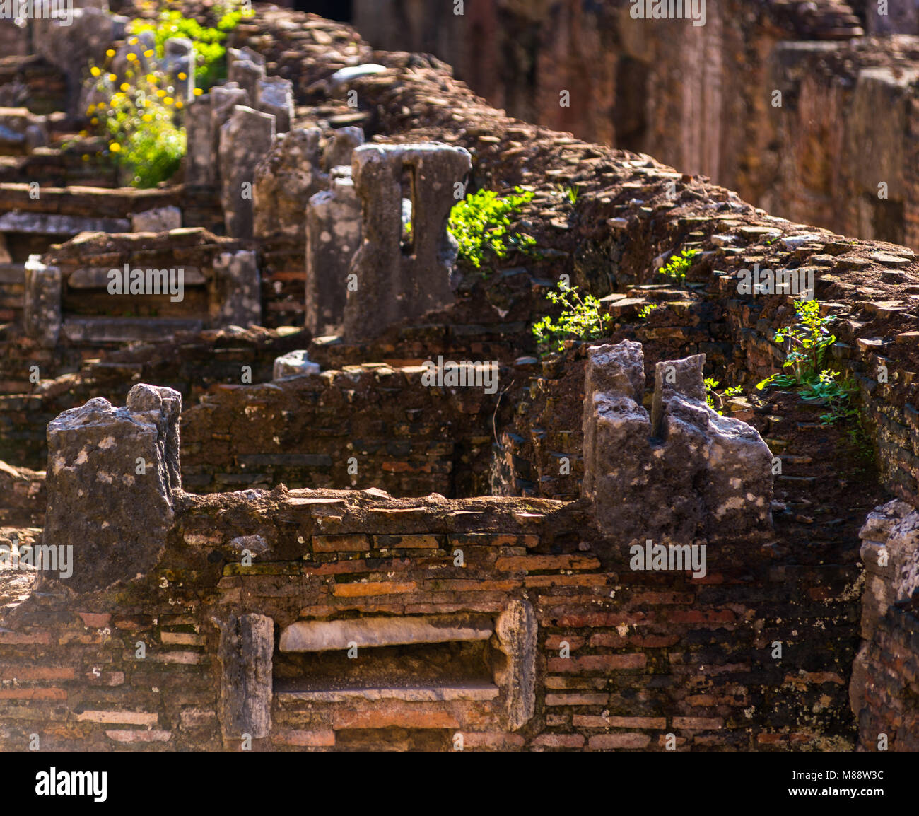 Interior closeup detail of he Colosseum or Coliseum, also known as the ...