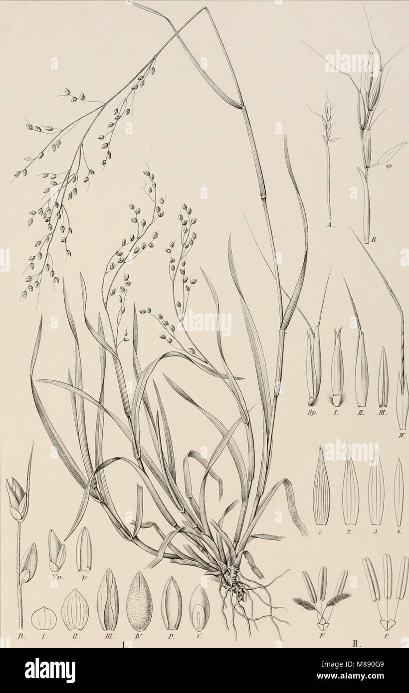 The 'Gazelle' expedition (1874-1876) under Captain Freiherr von ...