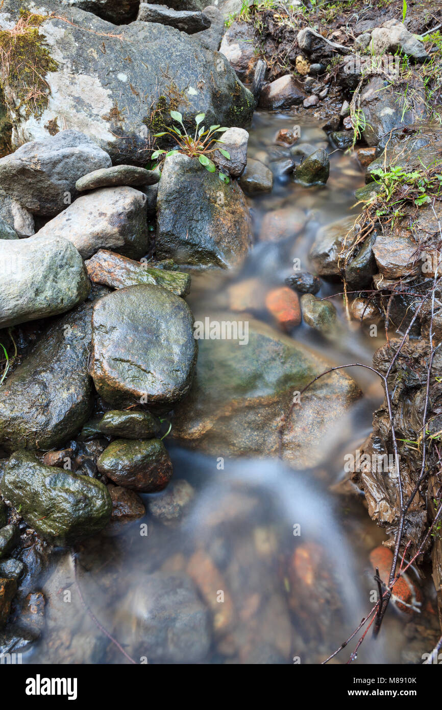 Small stream and rocks Stock Photo - Alamy