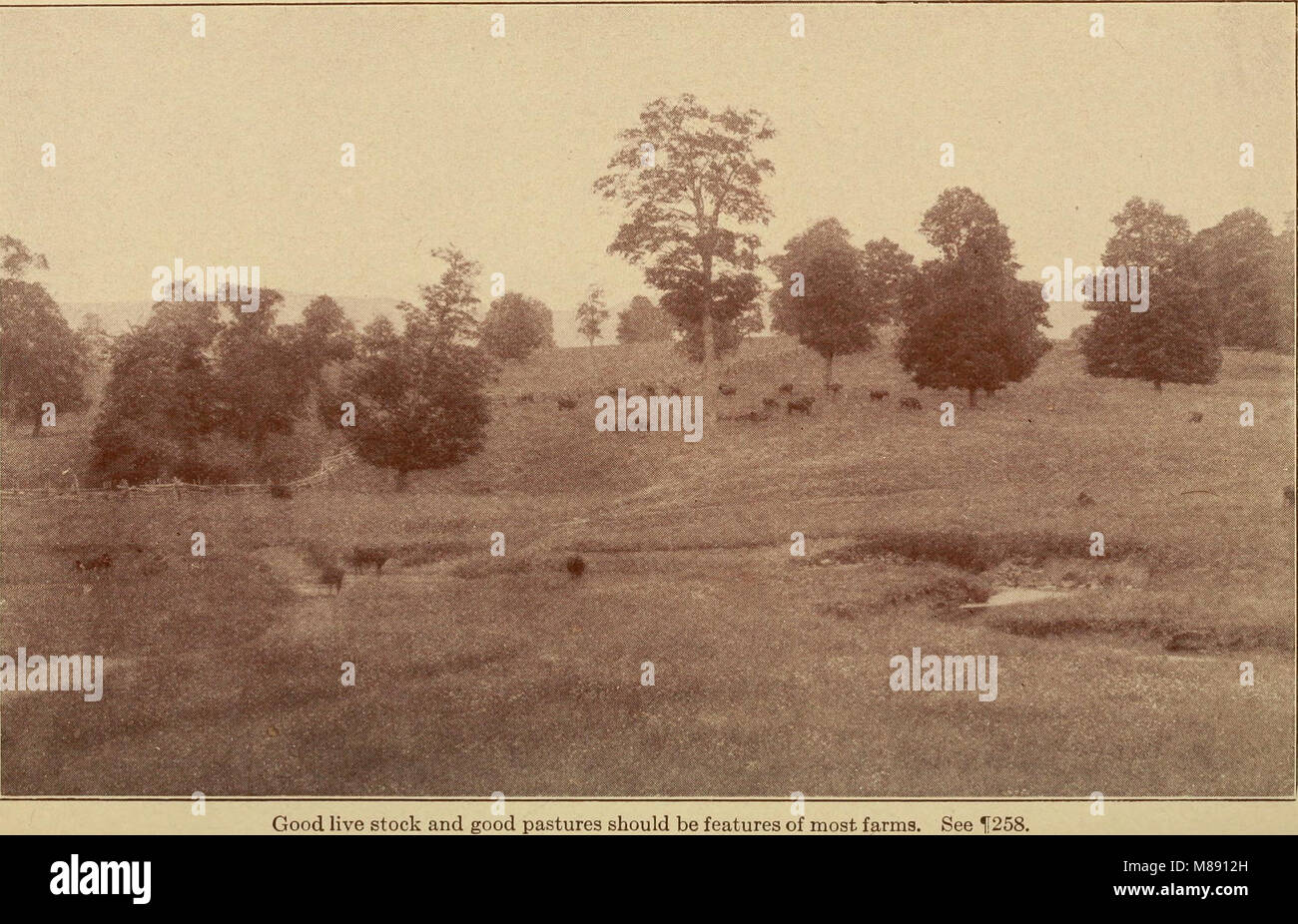 Elementary principles of agriculture; a text book for the common ...