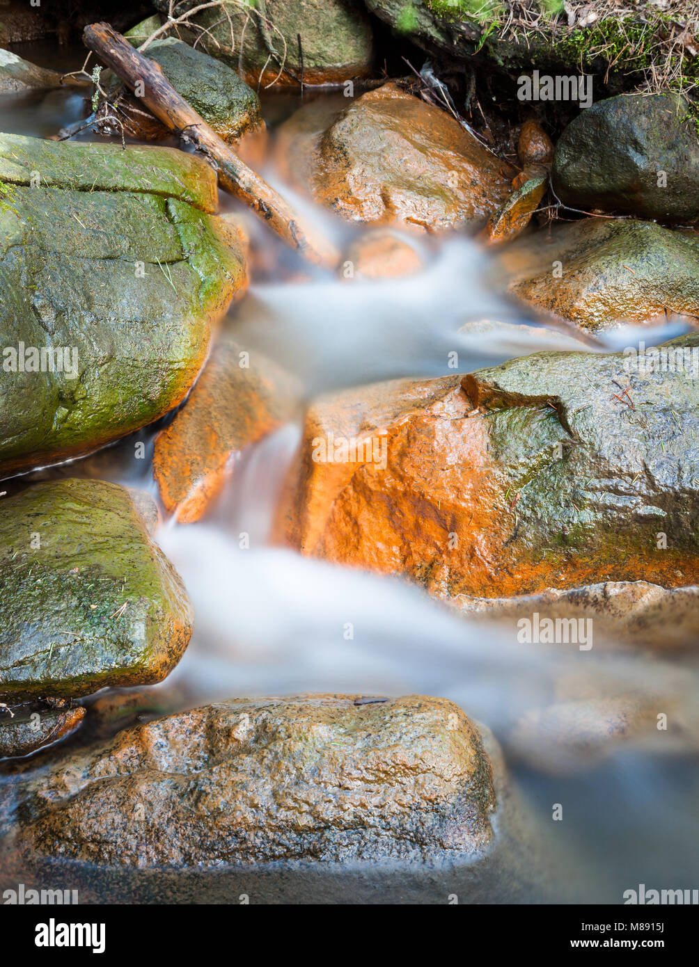 Small wet rocks hi-res stock photography and images - Alamy