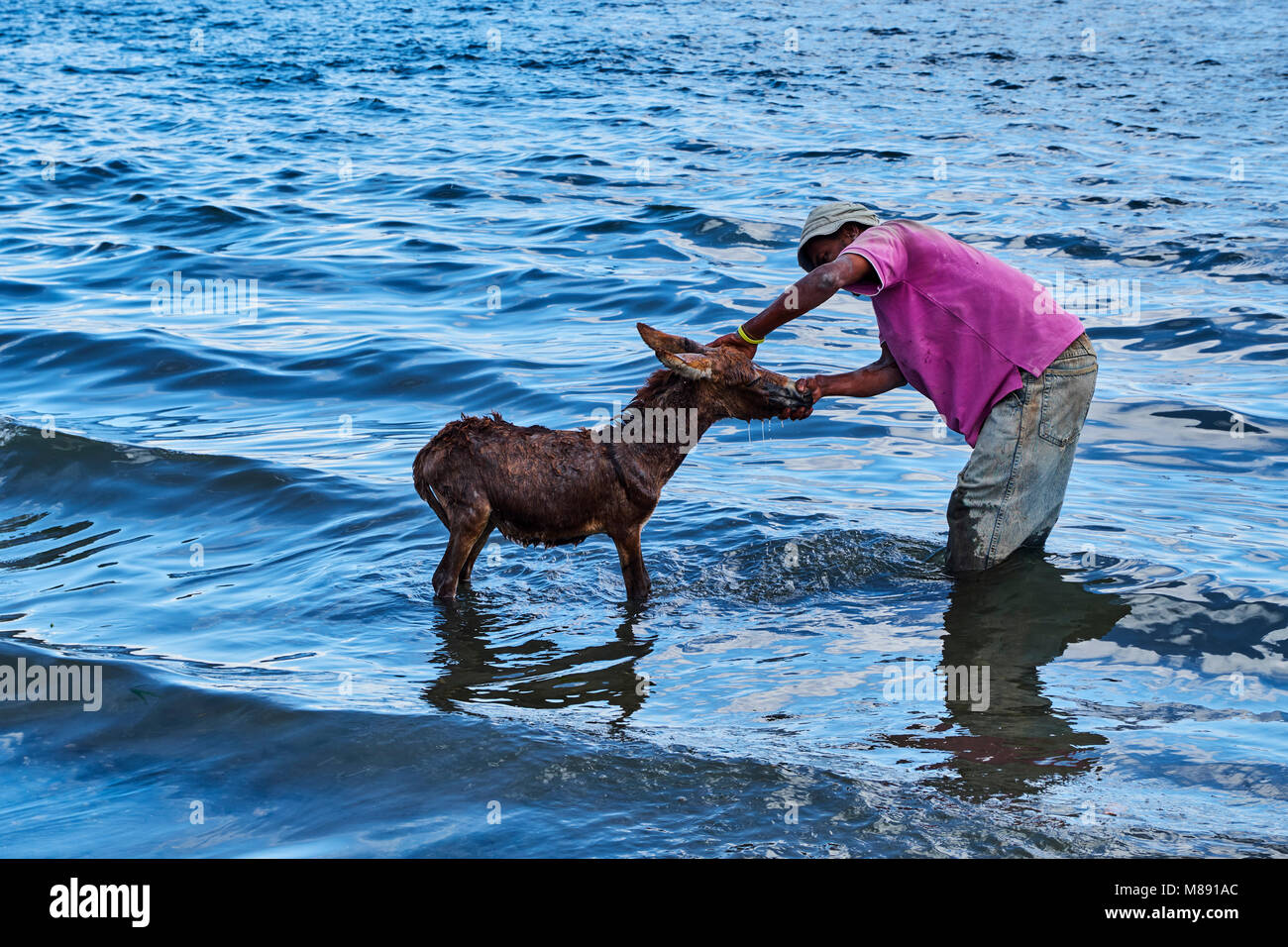 Kenya, Lamu island, Lamu town, Unesco world heritage Stock Photo - Alamy