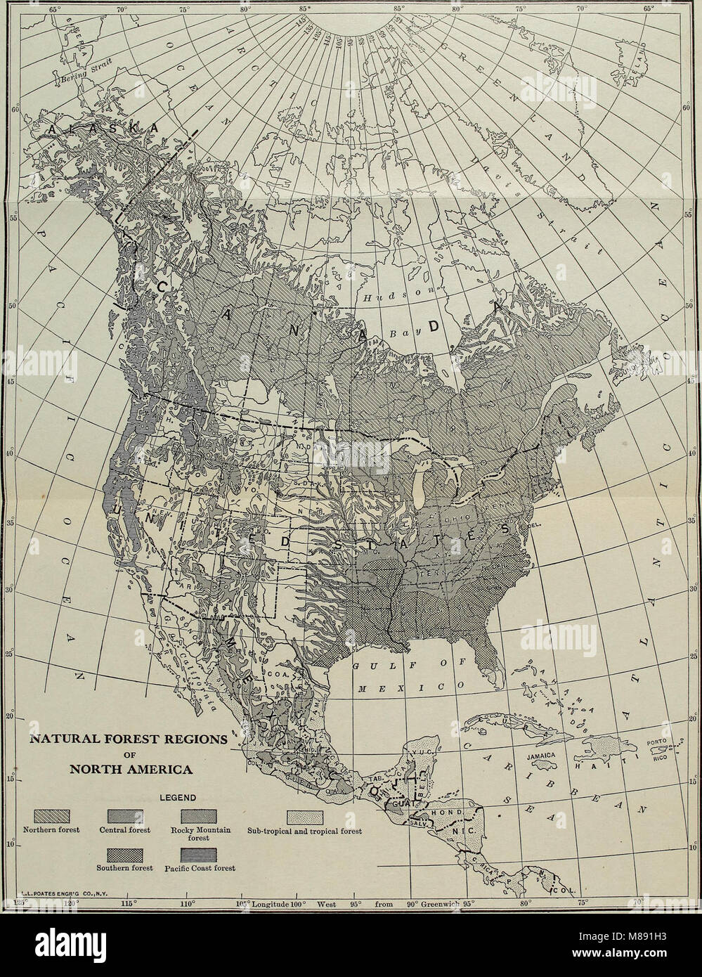 Text on forests forestry hi-res stock photography and images - Alamy