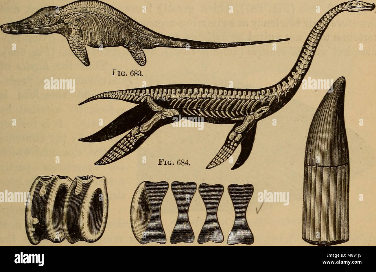 Elements of geology - a text-book for colleges and for the general ...
