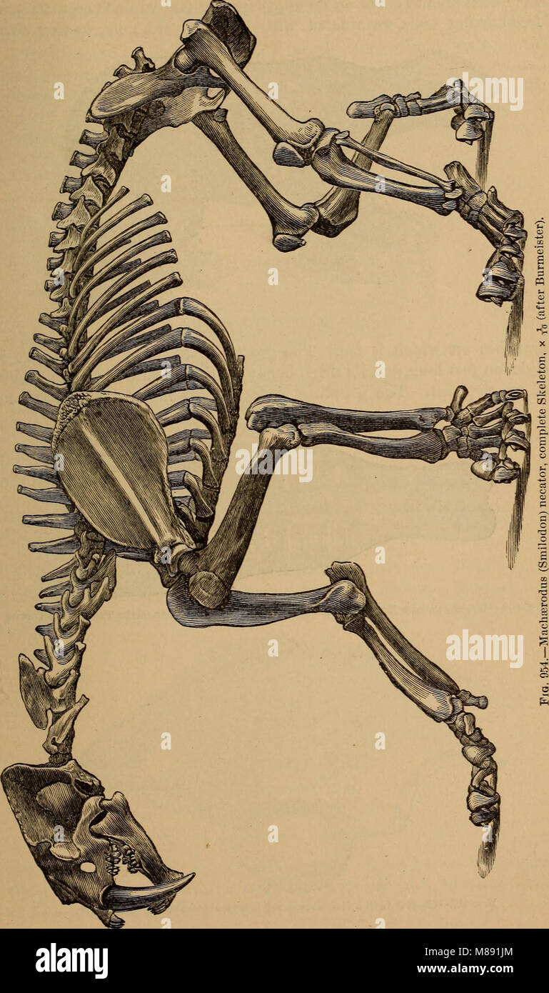 'Elements of Geology' (1892) serves as a textbook for college students ...