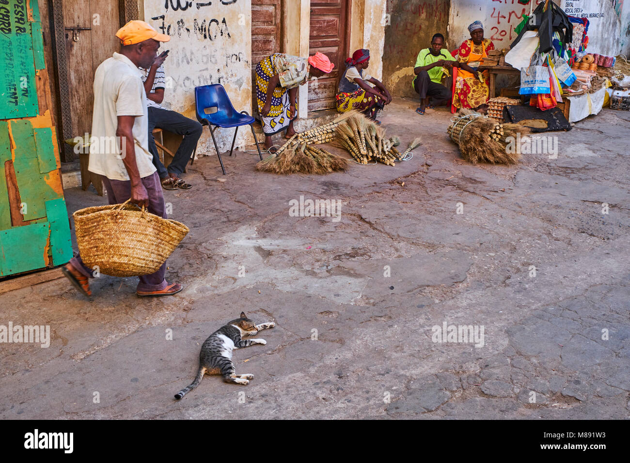 Indian street cats hi-res stock photography and images - Alamy