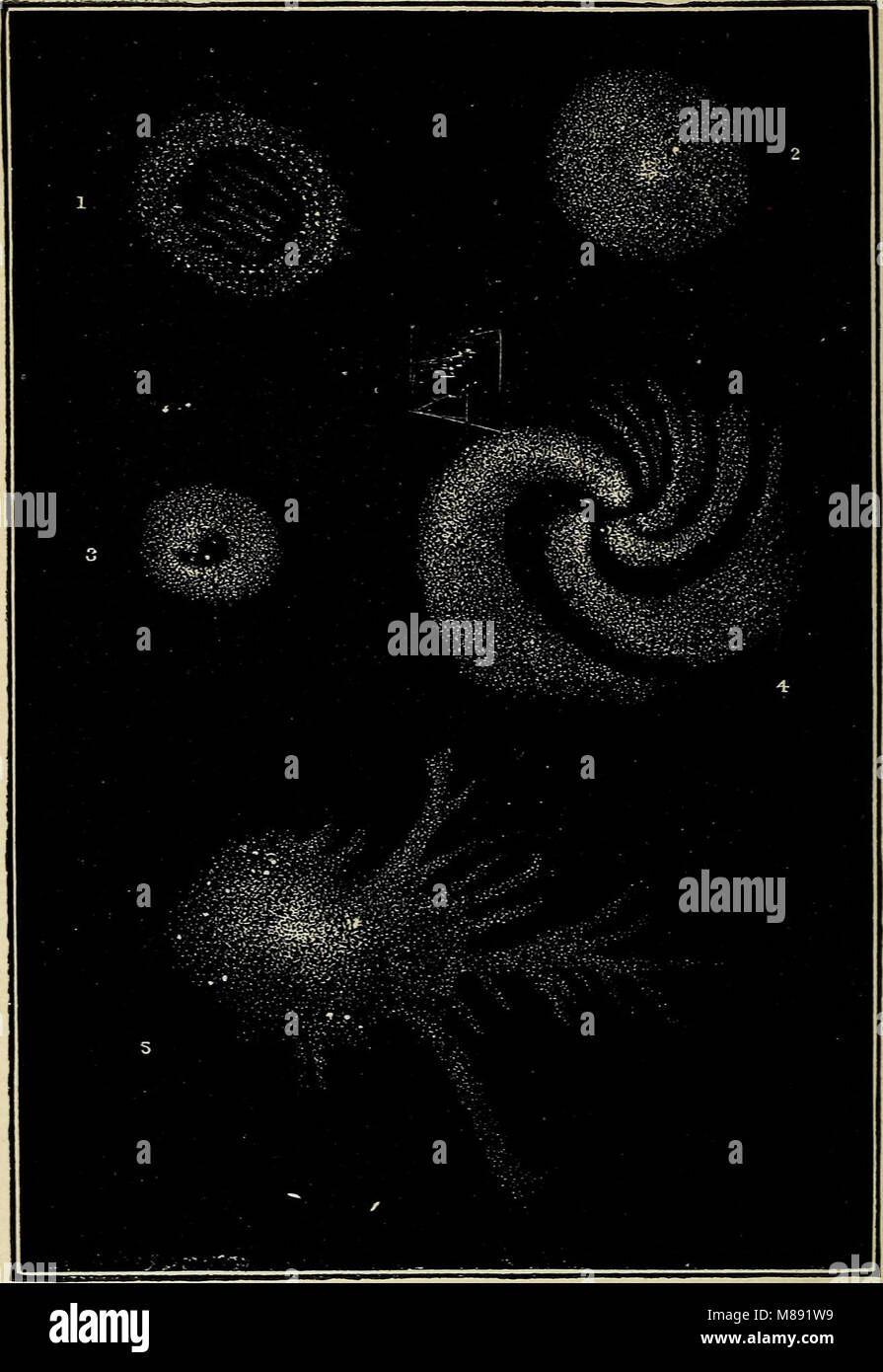 Elements of theoretical and descriptive astronomy, for the use of ...