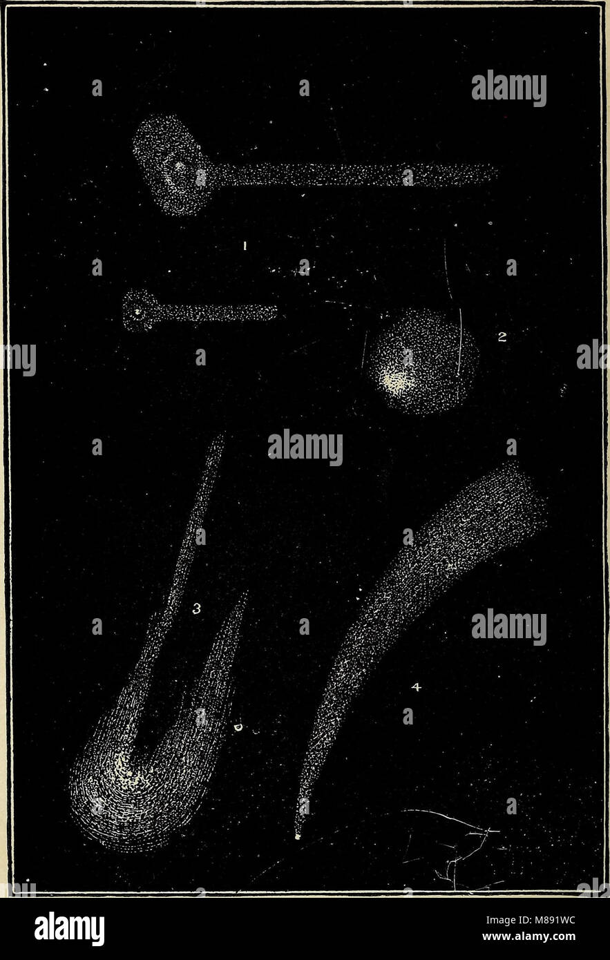 This 1901 textbook outlines theoretical and descriptive astronomy ...