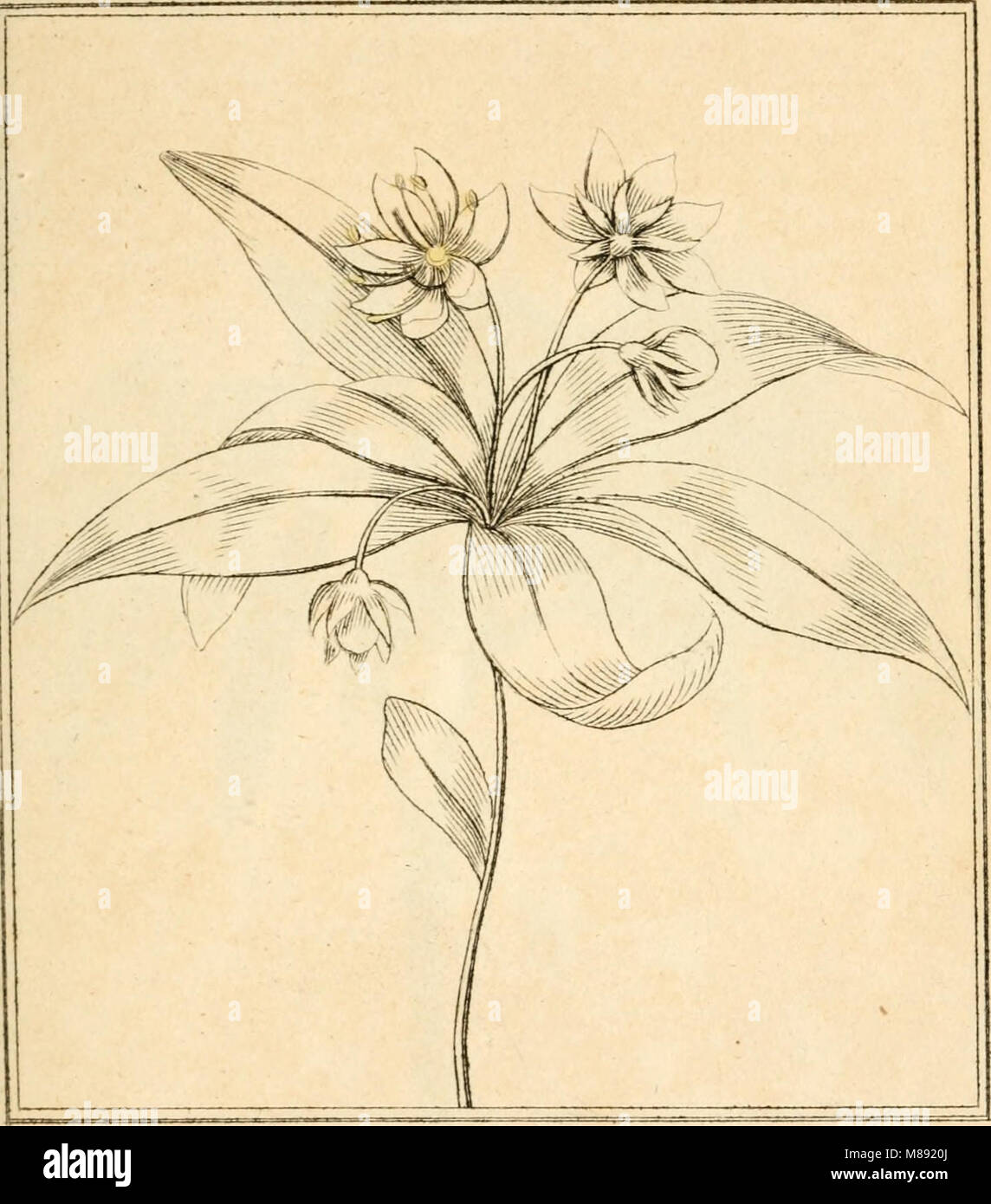 This 1809 work explains the fundamental principles of botany as ...