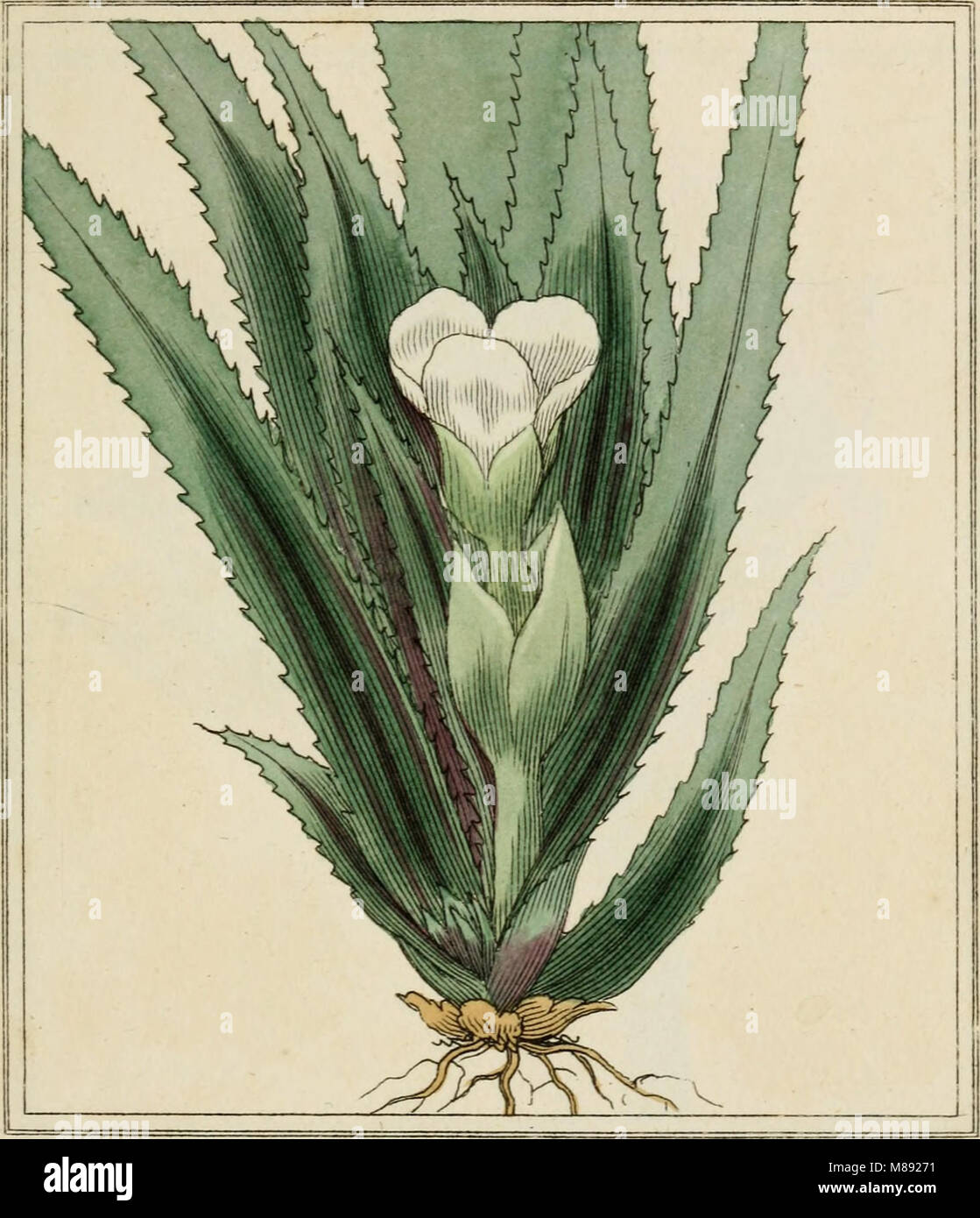 *Elements of the Science of Botany* (1812) presents Linnaeus' system of ...