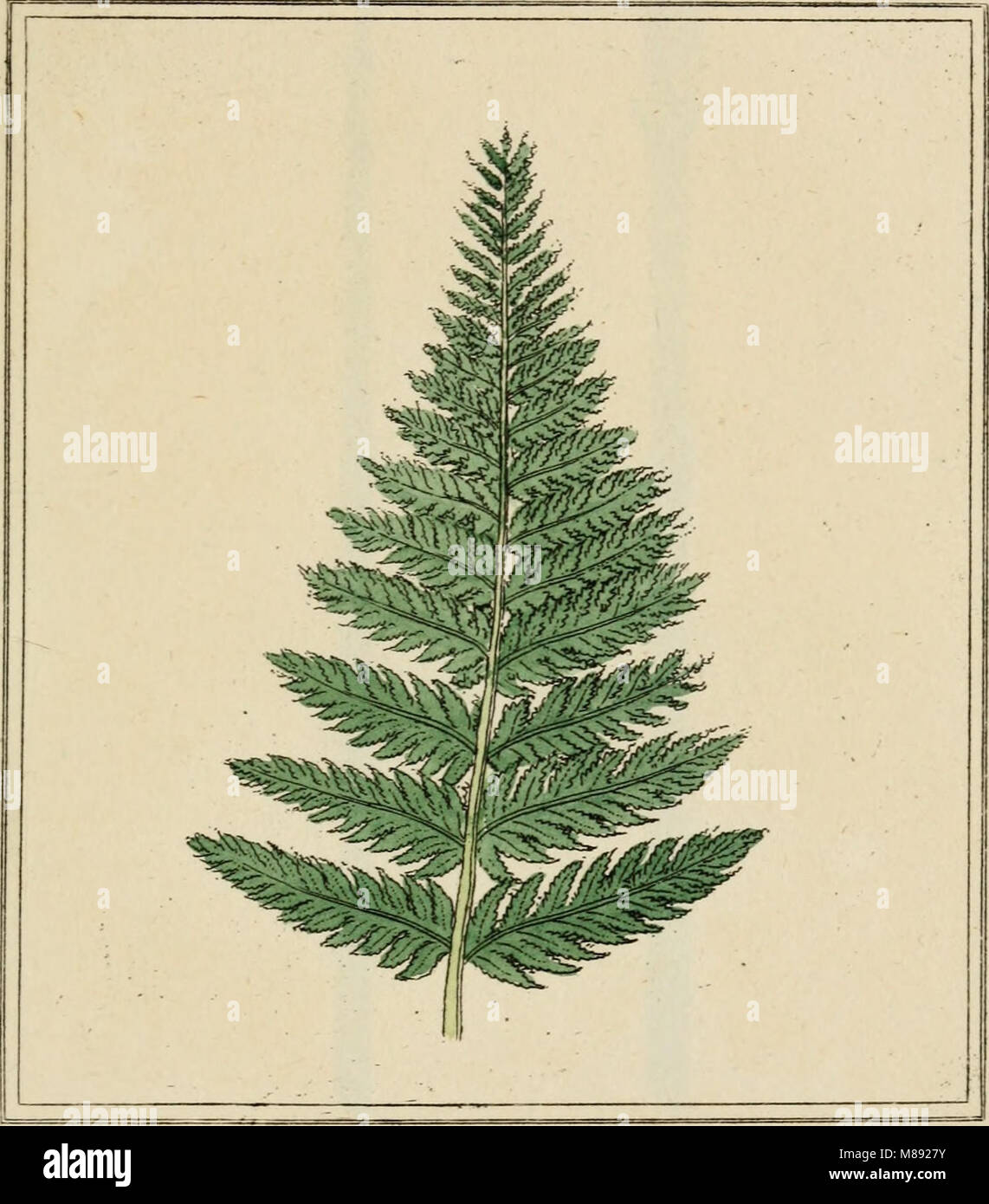 This 1812 work outlines the principles of botany as established by Carl ...