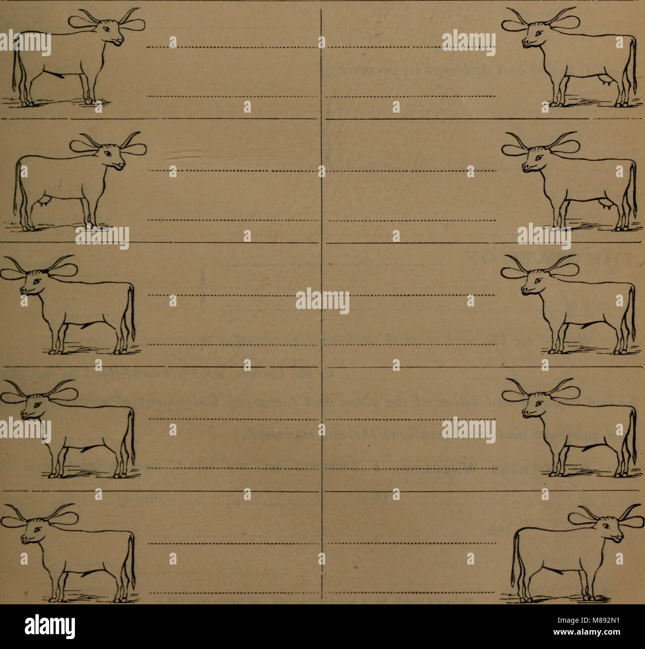 *Elliot's Book of Forms* (1881) is a comprehensive guide on the ...