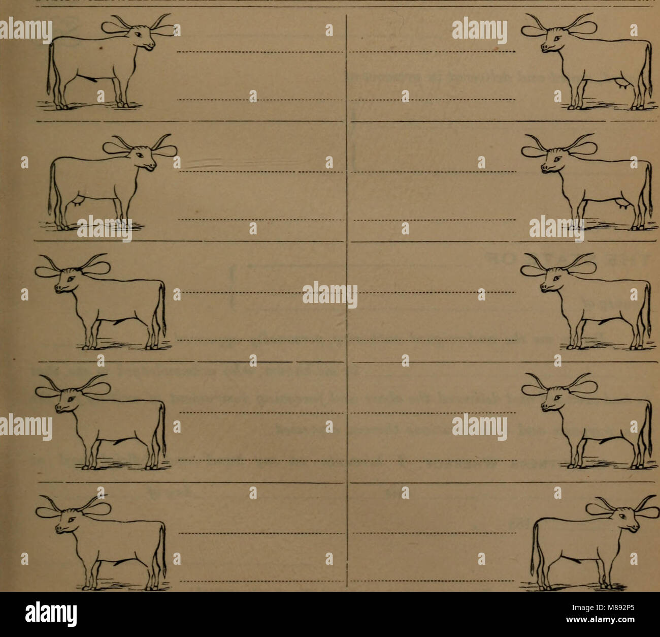 Elliot's book of forms; (1881) (21082948498 Stock Photo - Alamy