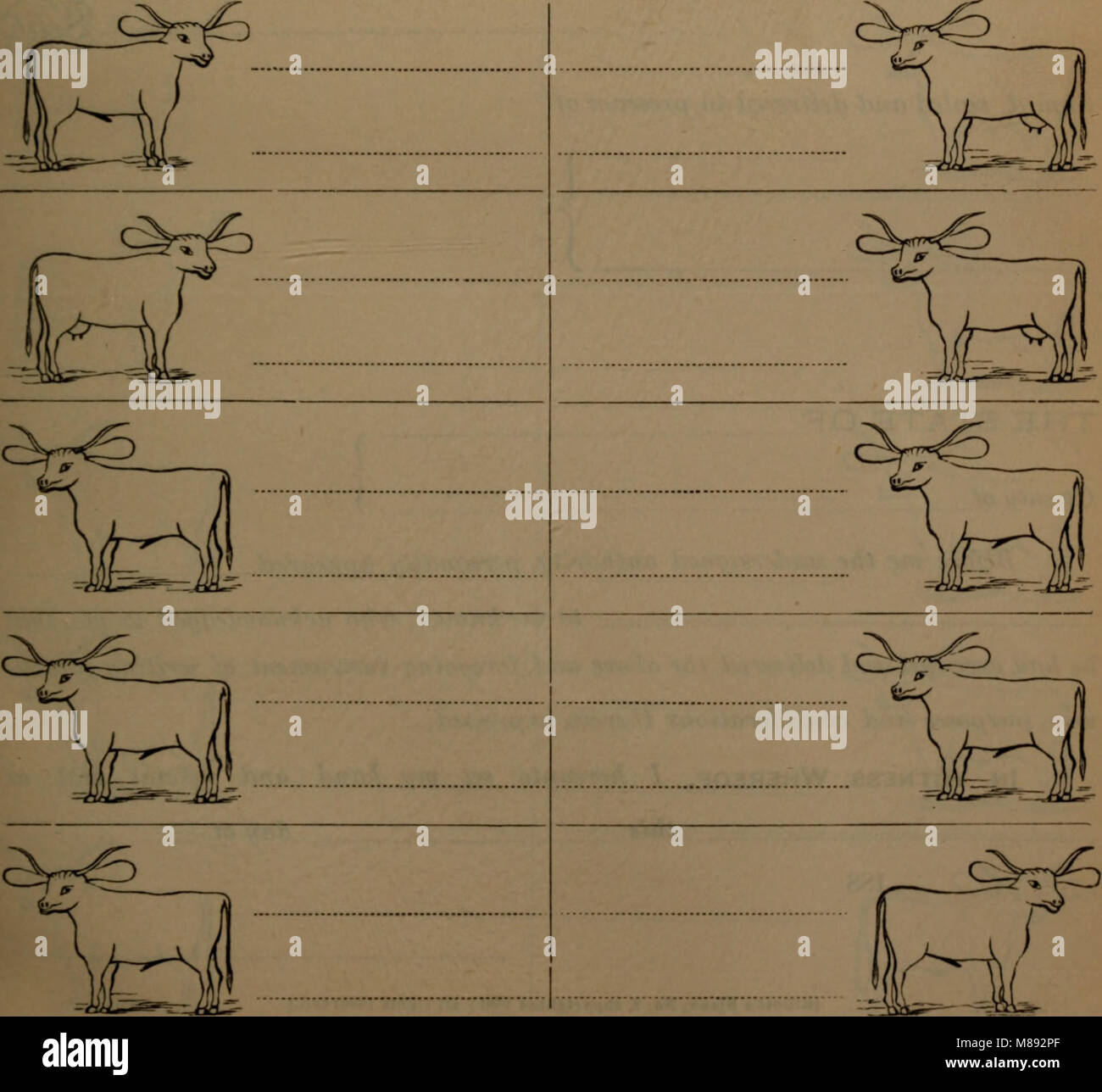 Elliot's book of forms; (1881) (21083102328 Stock Photo - Alamy