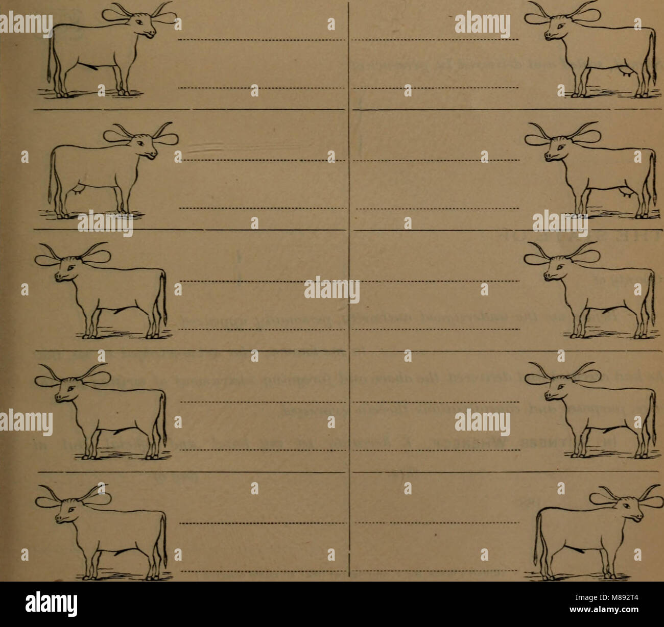Elliot's book of forms; (1881) (21278936611 Stock Photo - Alamy