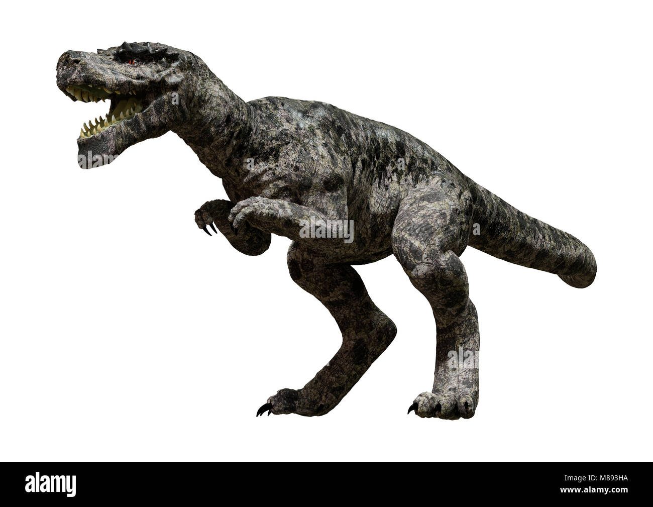 3D rendering of a dinosaur Tyrannosaurus isolated on white background ...