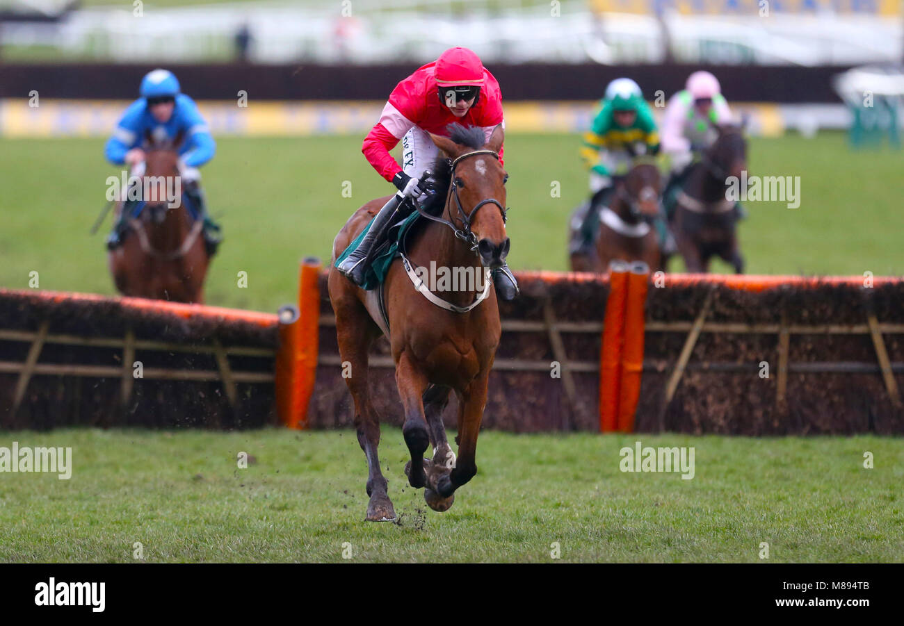 Laurina horse hi-res stock photography and images - Alamy
