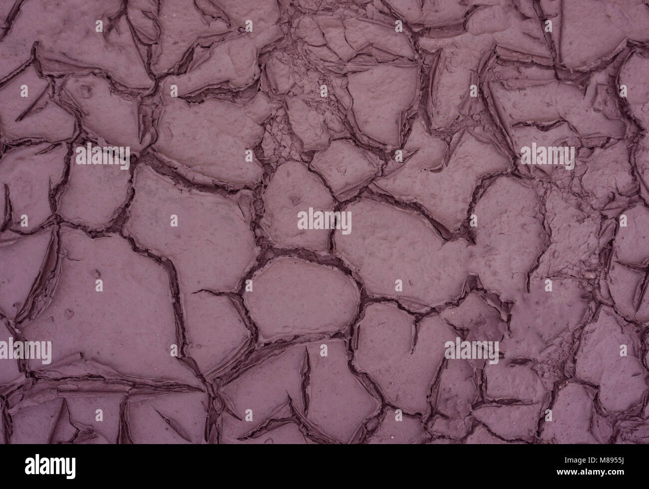 pink Land with dry and cracked earth. To leave Stock Photo - Alamy