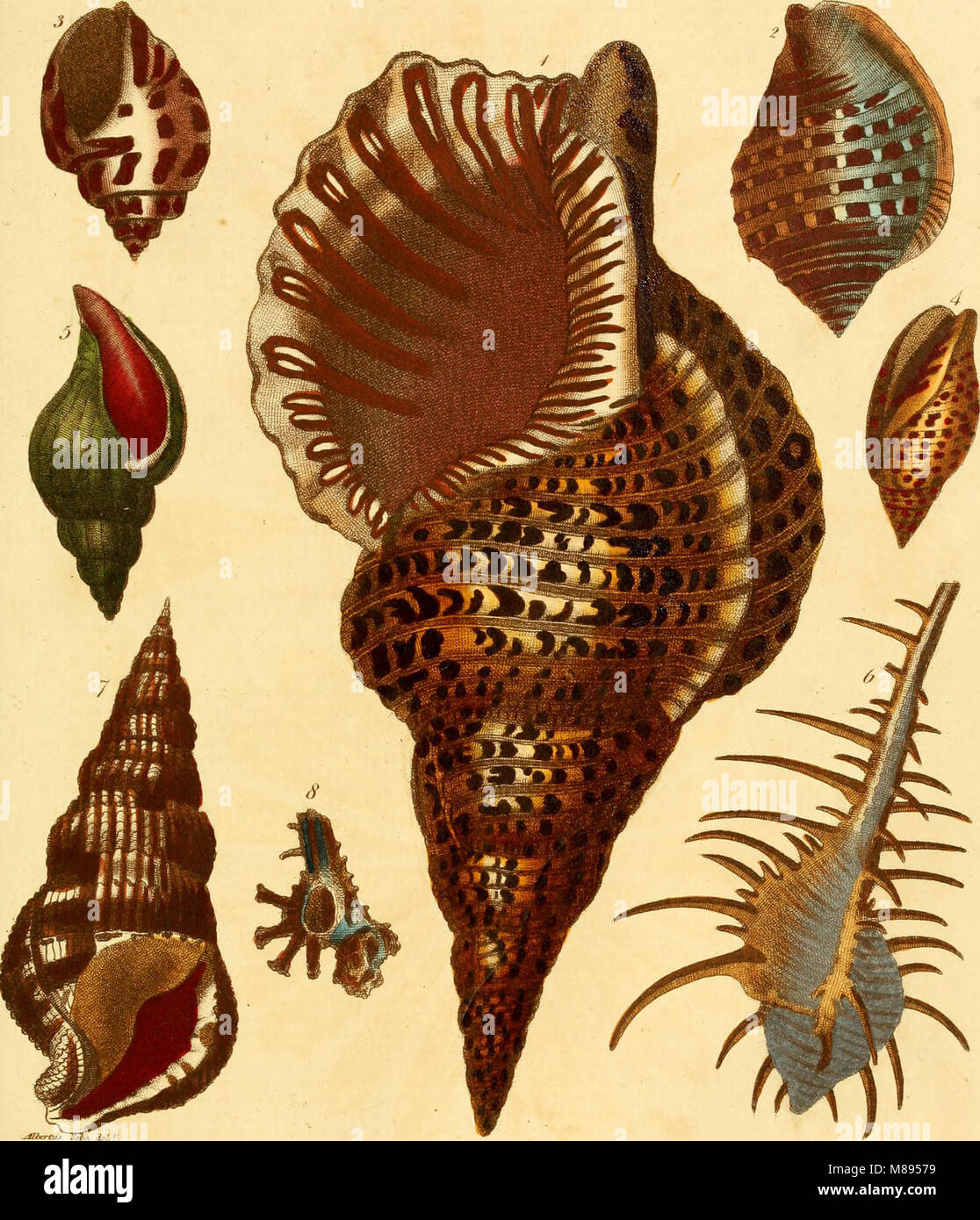 The Encyclopaedia Londinensis is a comprehensive dictionary covering a ...