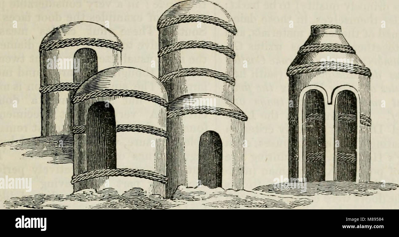 The 1843 Encyclopedia of Antiquities offers detailed descriptions and ...