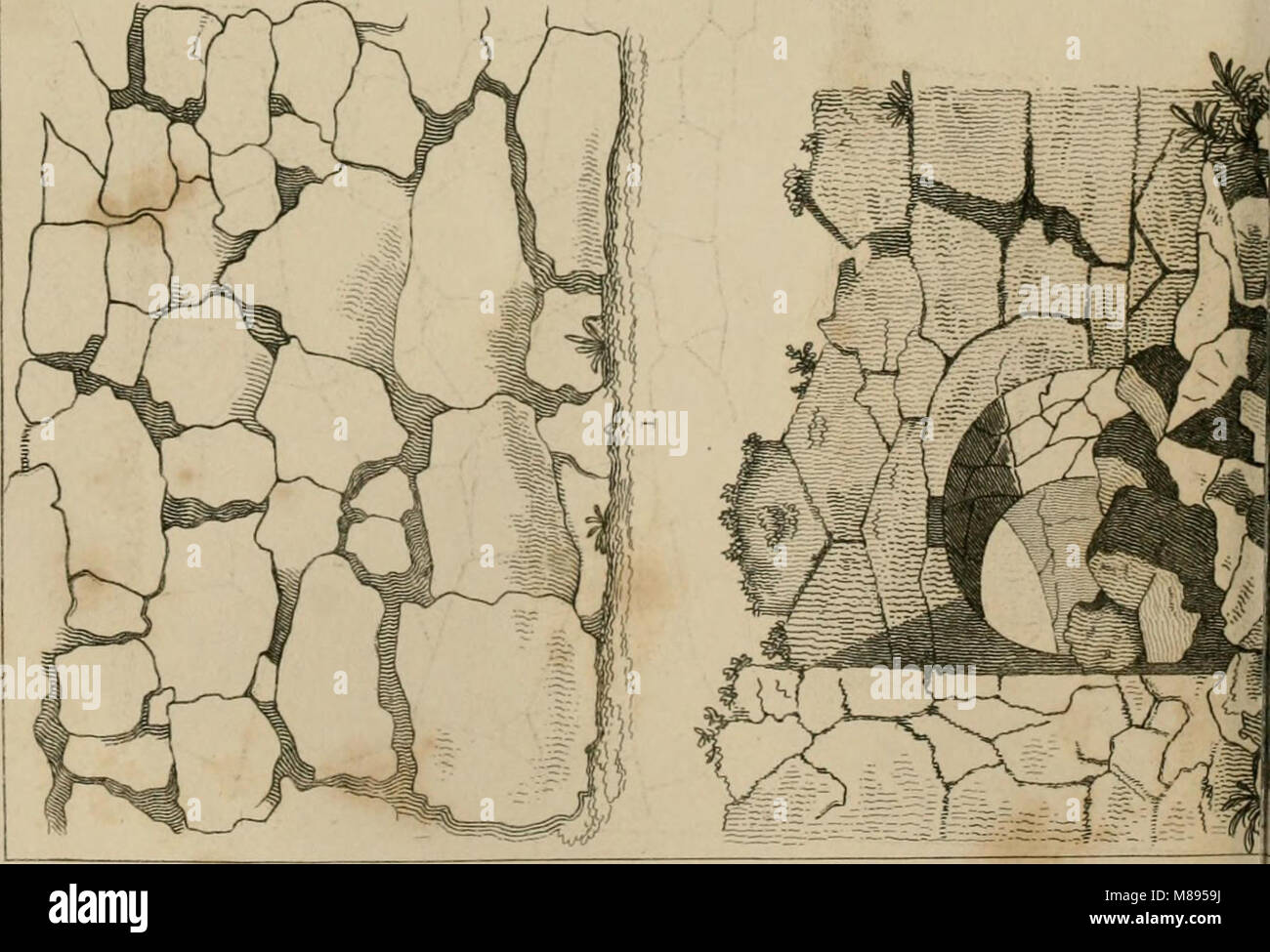 Encyclopedia of antiquities - and elements of archaeology, classical ...
