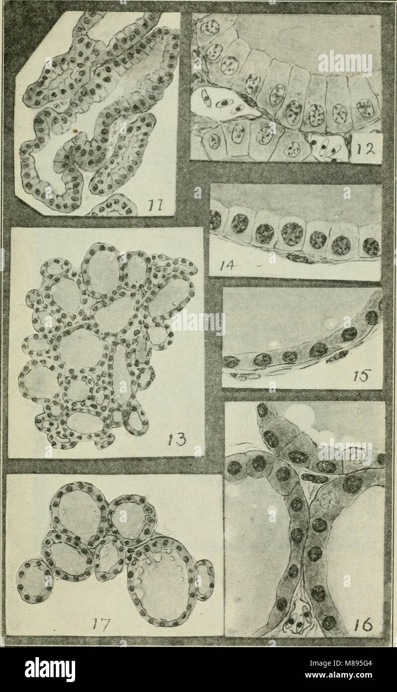 *Endocrinology* (1917) covers the study of hormones, endocrine glands ...
