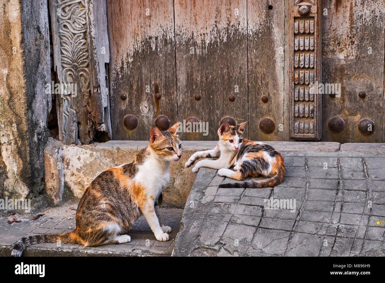 Tanzania, Zanzibar island, Unguja, Stone Town, unesco world heritage ...