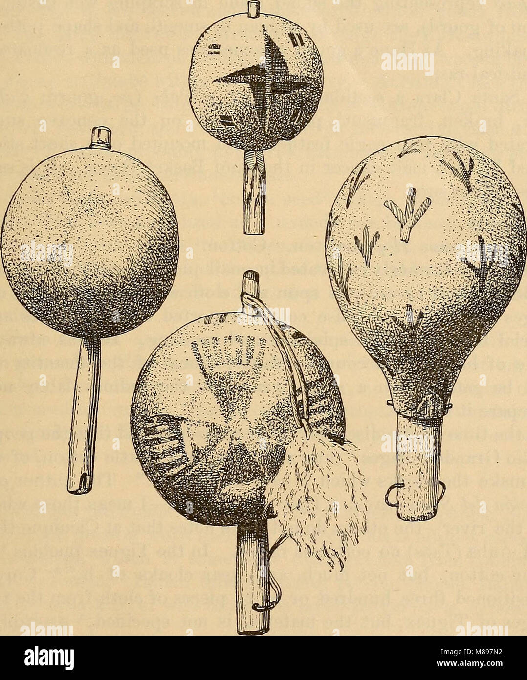 Ethnobotany of the Tewa Indians (1916) (14595289380 Stock Photo - Alamy