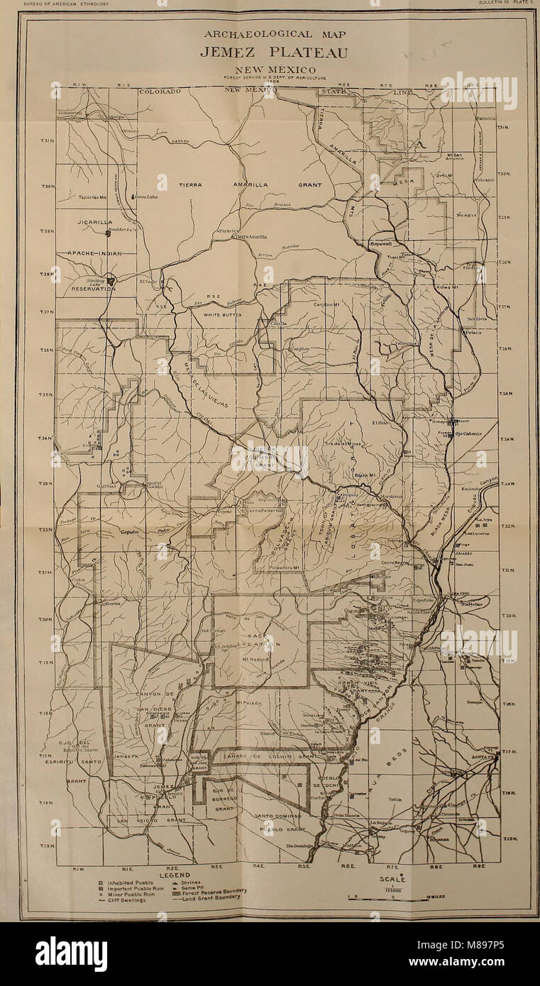 'Ethnobotany of the Tewa Indians' (1916) explores the relationship ...