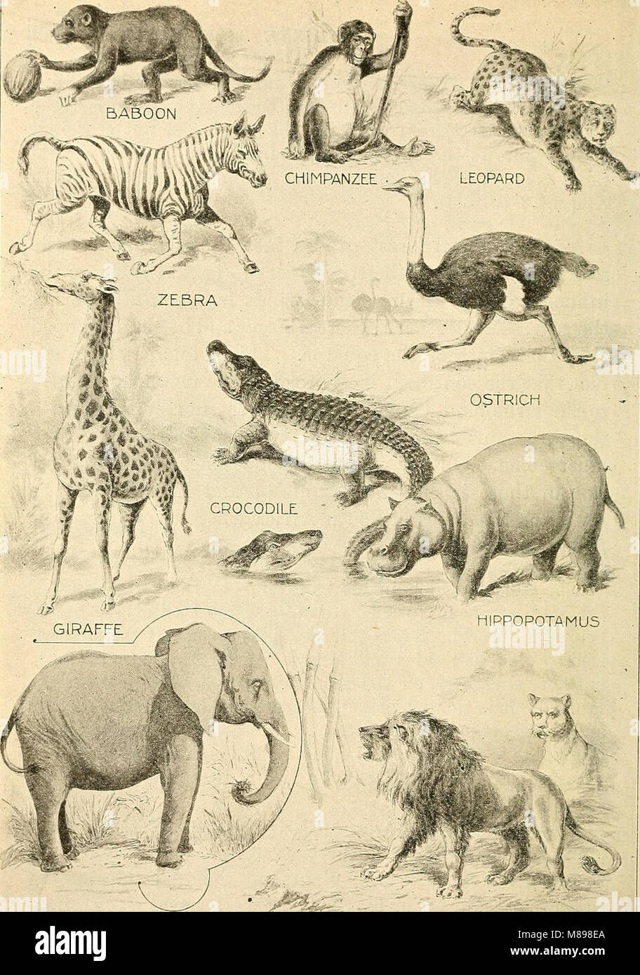 'Europe and Other Continents' (1901) provides an overview of European ...