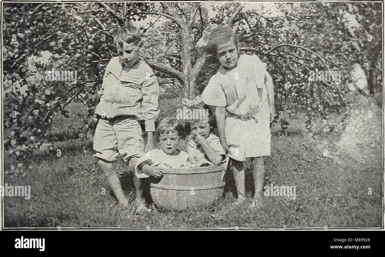 Every life a delight (1914) (14781514072 Stock Photo - Alamy