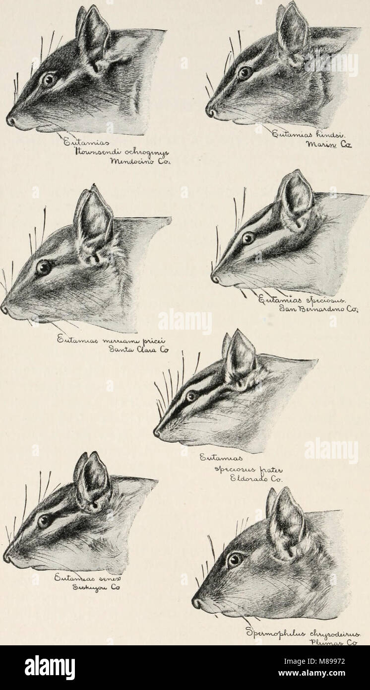 Evolution and animal life; an elementary discussion of facts, processes ...