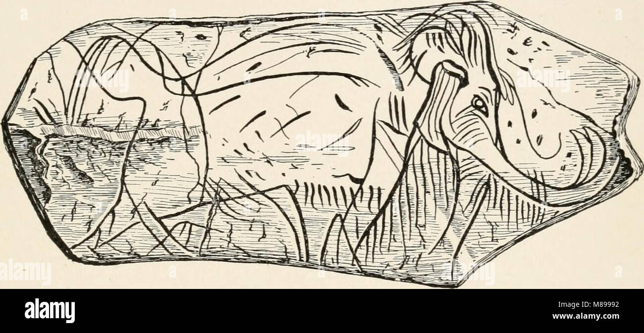 Published in 1907, this work discusses the fundamental principles of ...