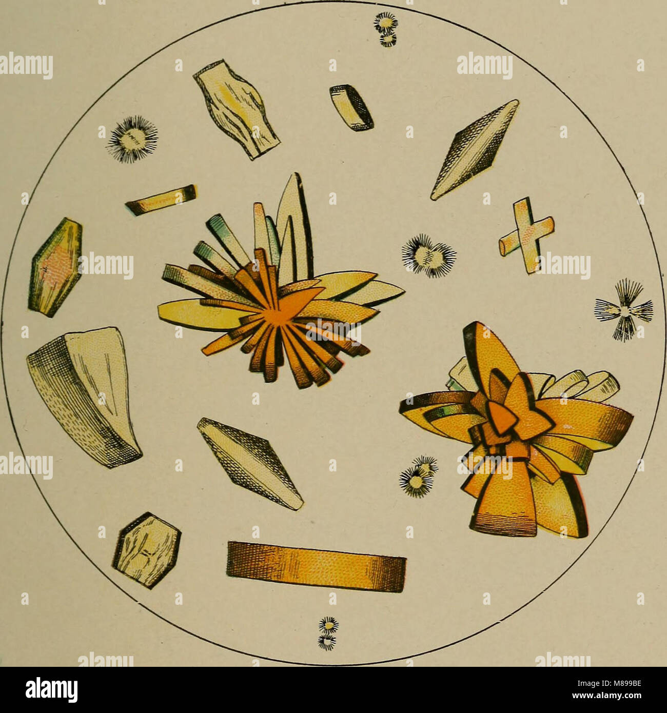 This 1909 manual provides detailed methods for examining urine, aimed ...