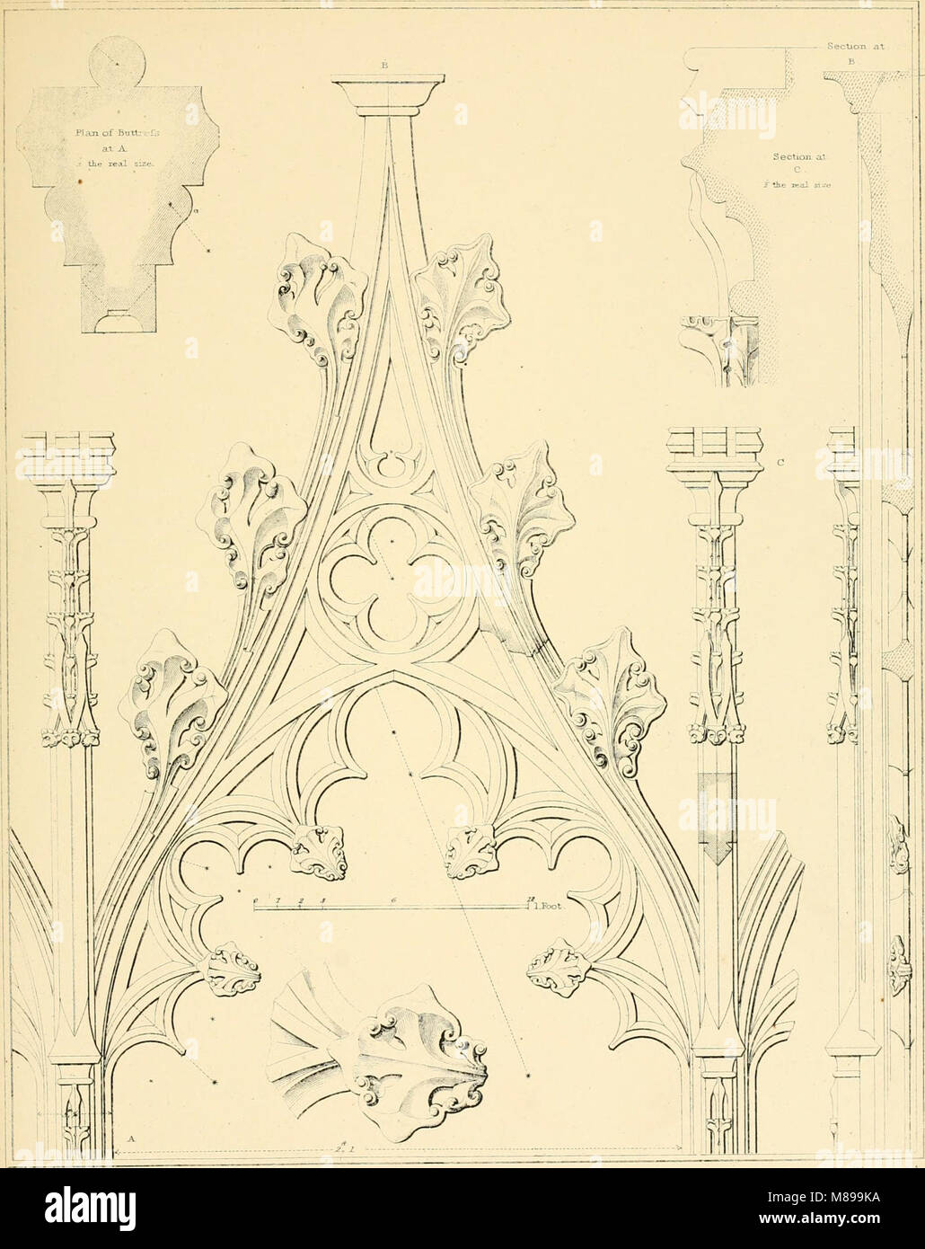 'Examples of Gothic Architecture' presents selected architectural plans ...