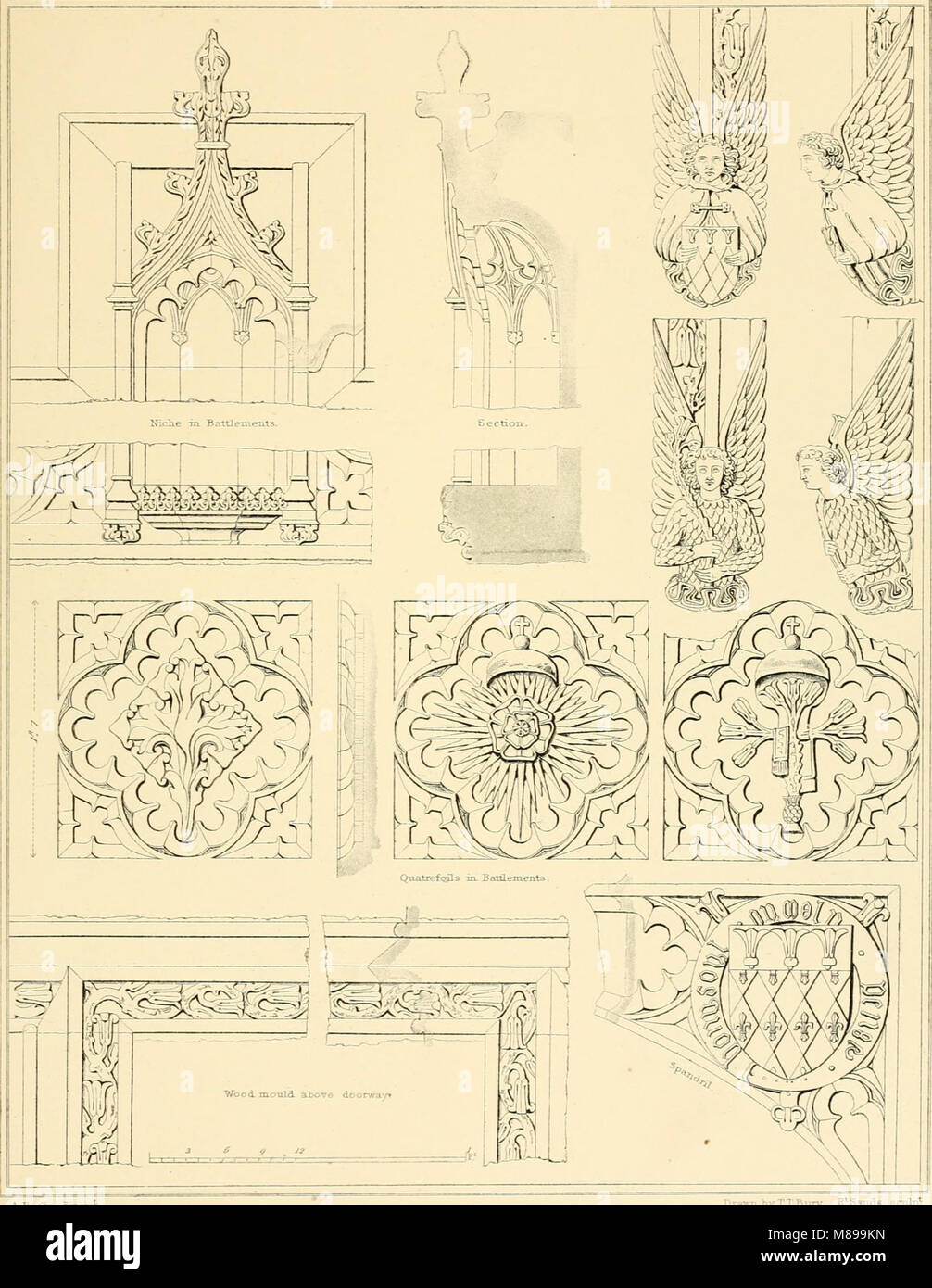 'Examples of Gothic Architecture' presents a detailed collection of ...