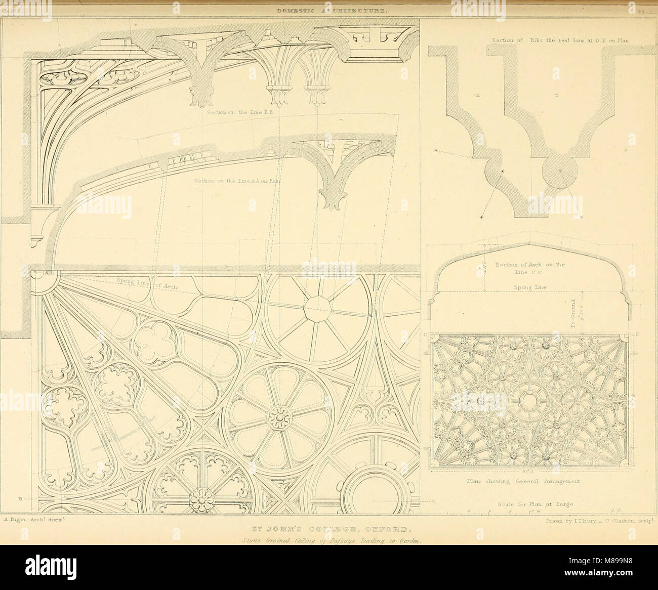 This work showcases examples of Gothic architecture from England ...