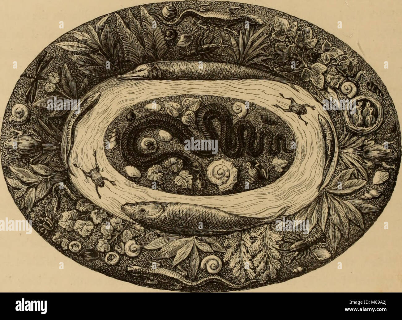 Examples of household taste (1875) (14759349866 Stock Photo - Alamy