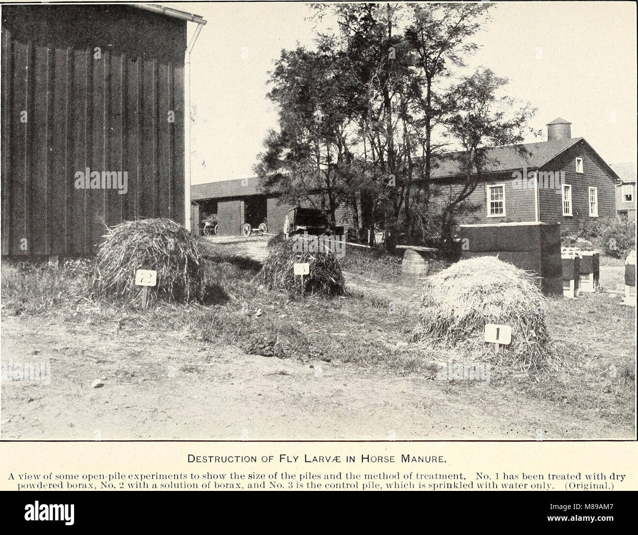This 1914 study details experiments designed to control fly larvae in ...