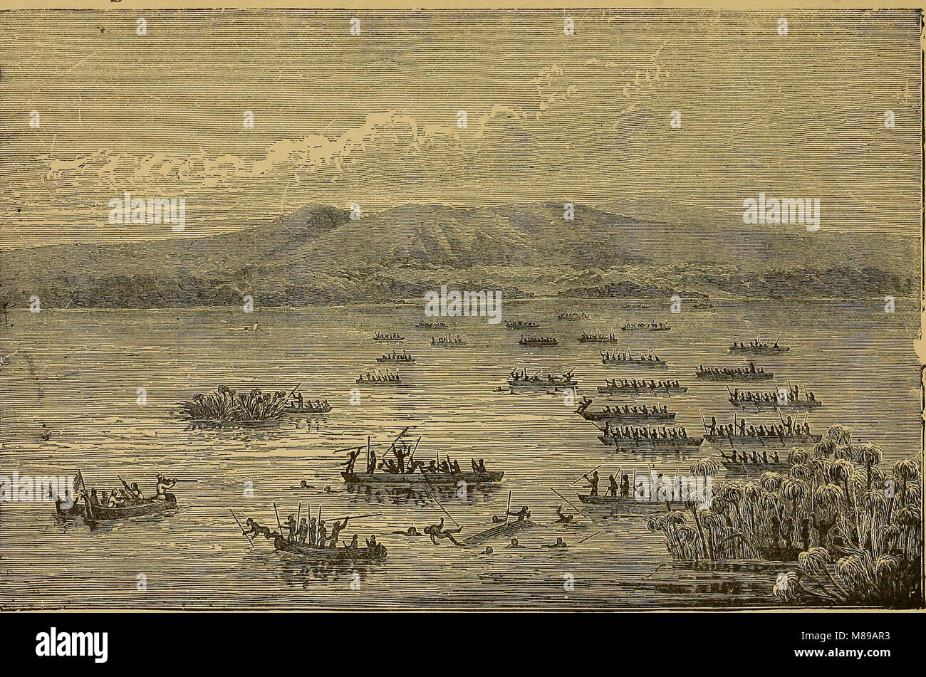 Explorations and Adventures in the Wilds of Africa (1909) narrates the ...