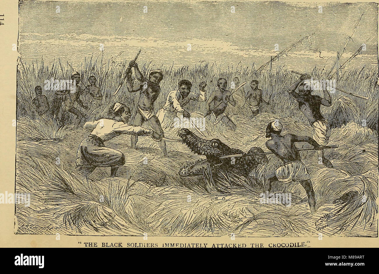 Explorations and adventures in the wilds of Africa; (1909) (14760682861 ...