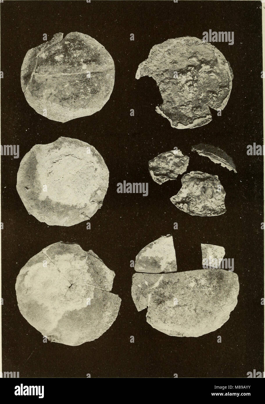 The exploration of a Munsee cemetery near Montague, New Jersey ...