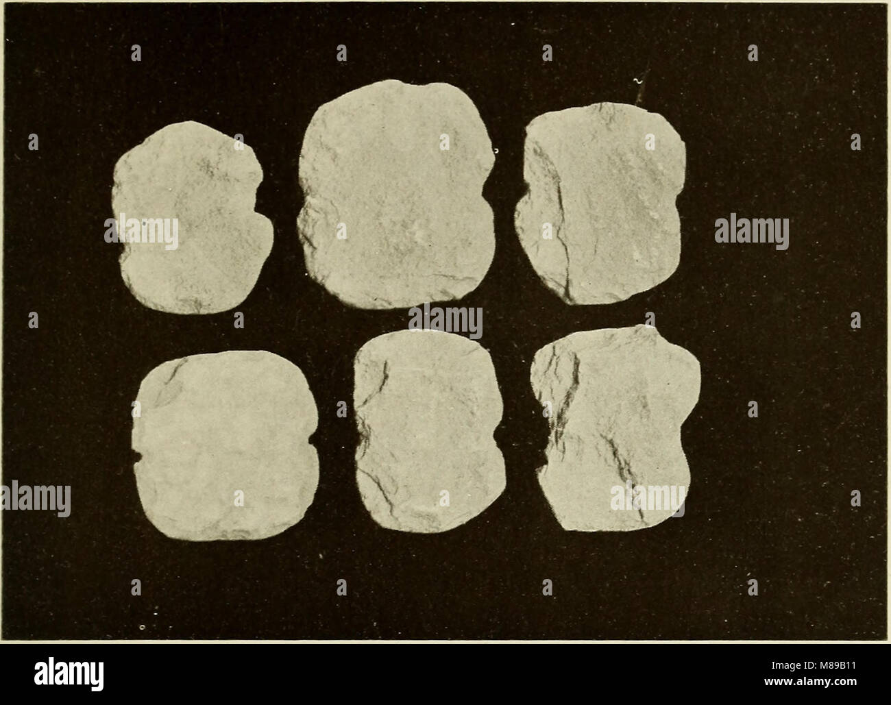 The 1915 exploration of a Munsee cemetery near Montague, New Jersey ...