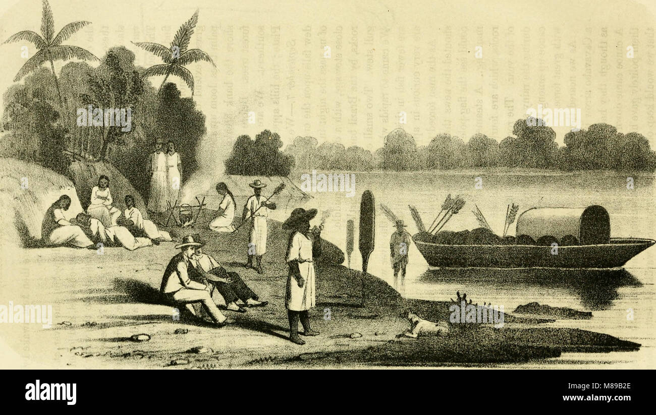 The 'Exploration of the Valley of the Amazon' (1853) documents the ...