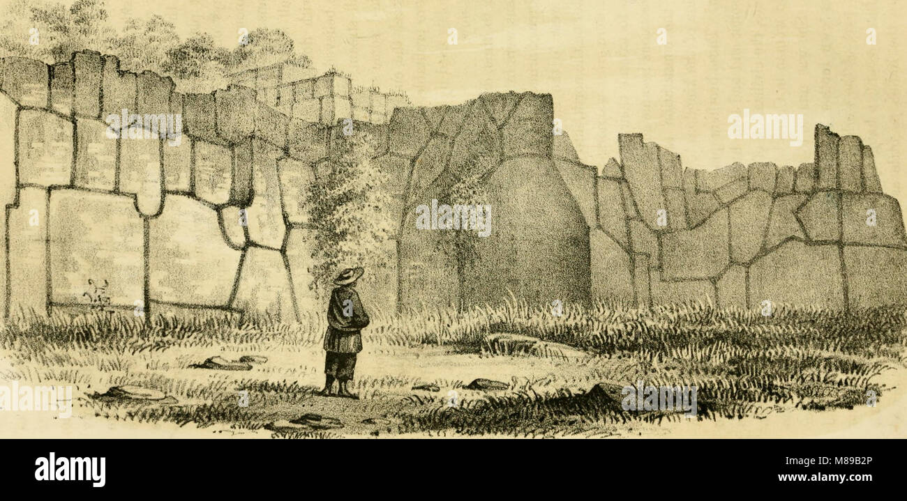 The 'Exploration of the Valley of the Amazon' (1853) is a detailed ...