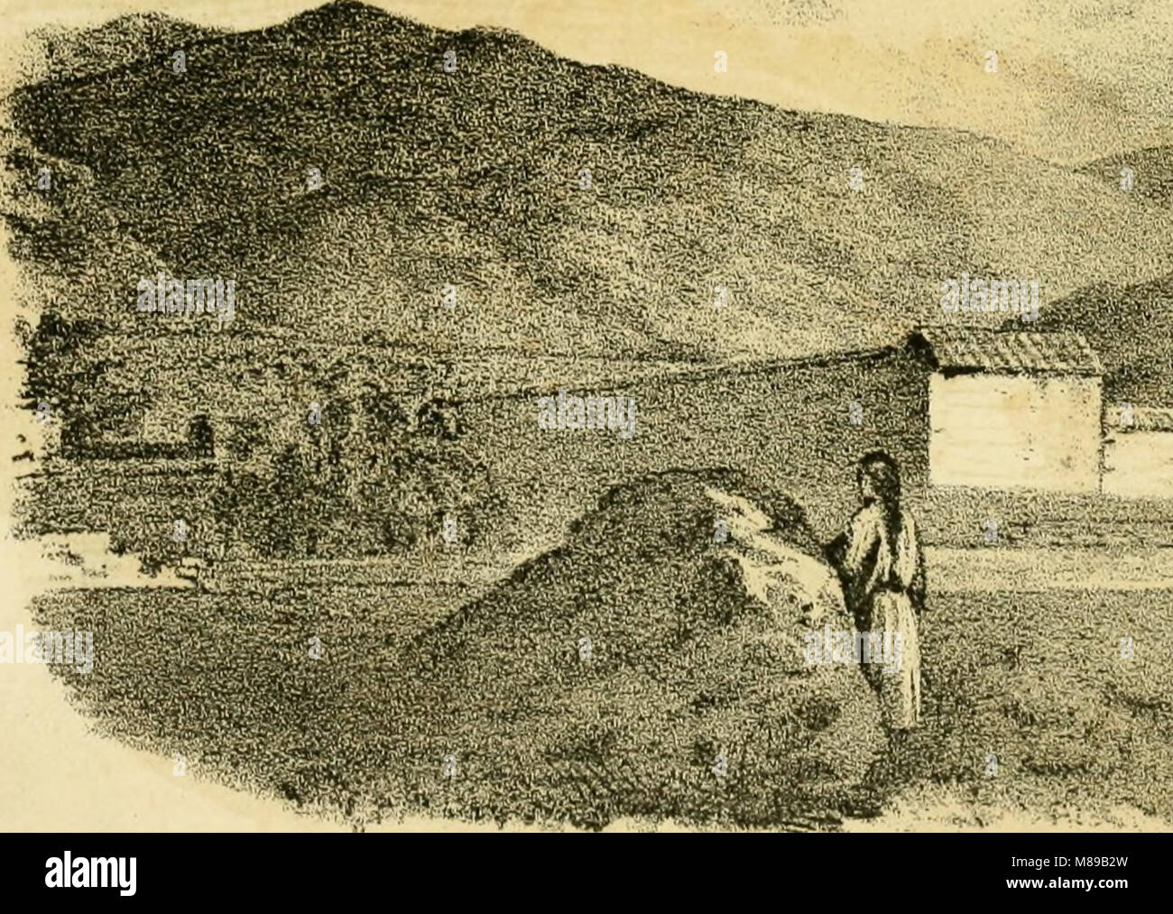 Exploration of the valley of the Amazon (1853) (14761479336 Stock Photo ...