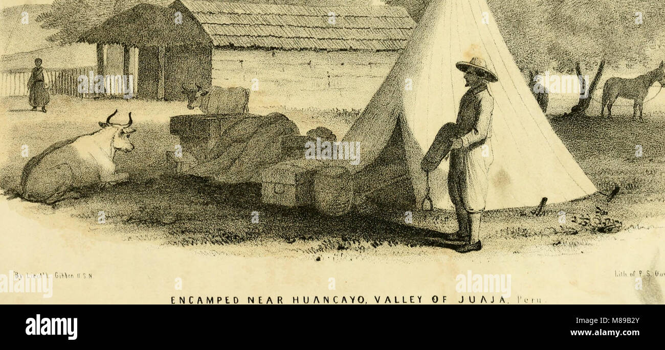 Exploration of the valley of the Amazon (1853) (14781331191 Stock Photo ...