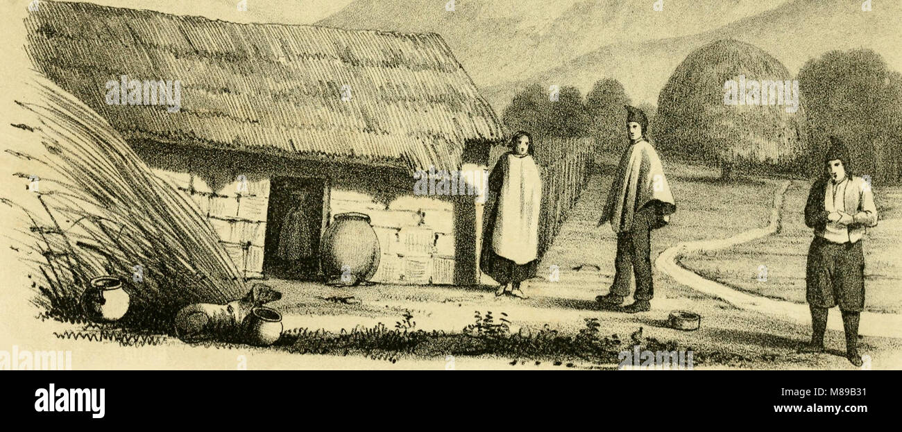 Exploration of the valley of the Amazon (1853) (14782123084 Stock Photo ...