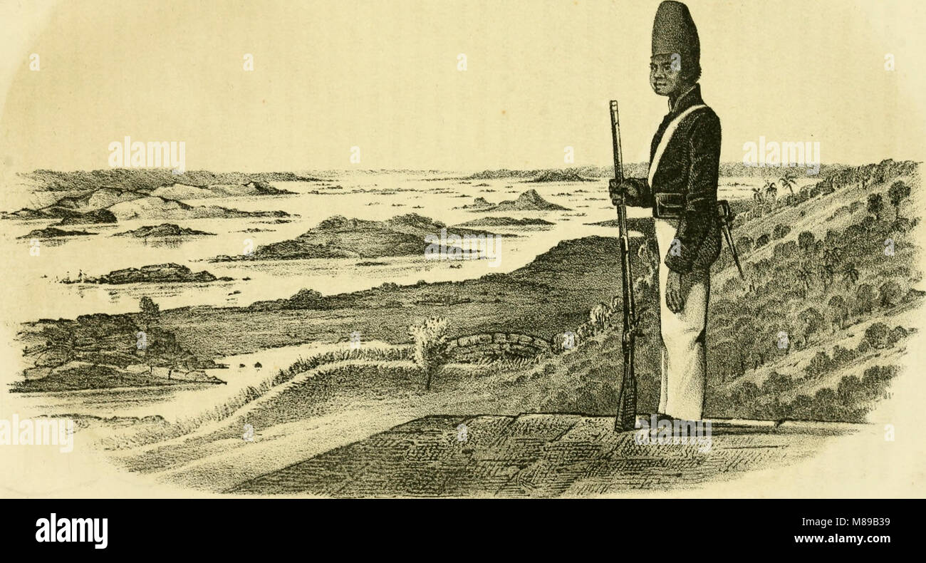 'Exploration of the Valley of the Amazon' (1853) recounts the journey ...
