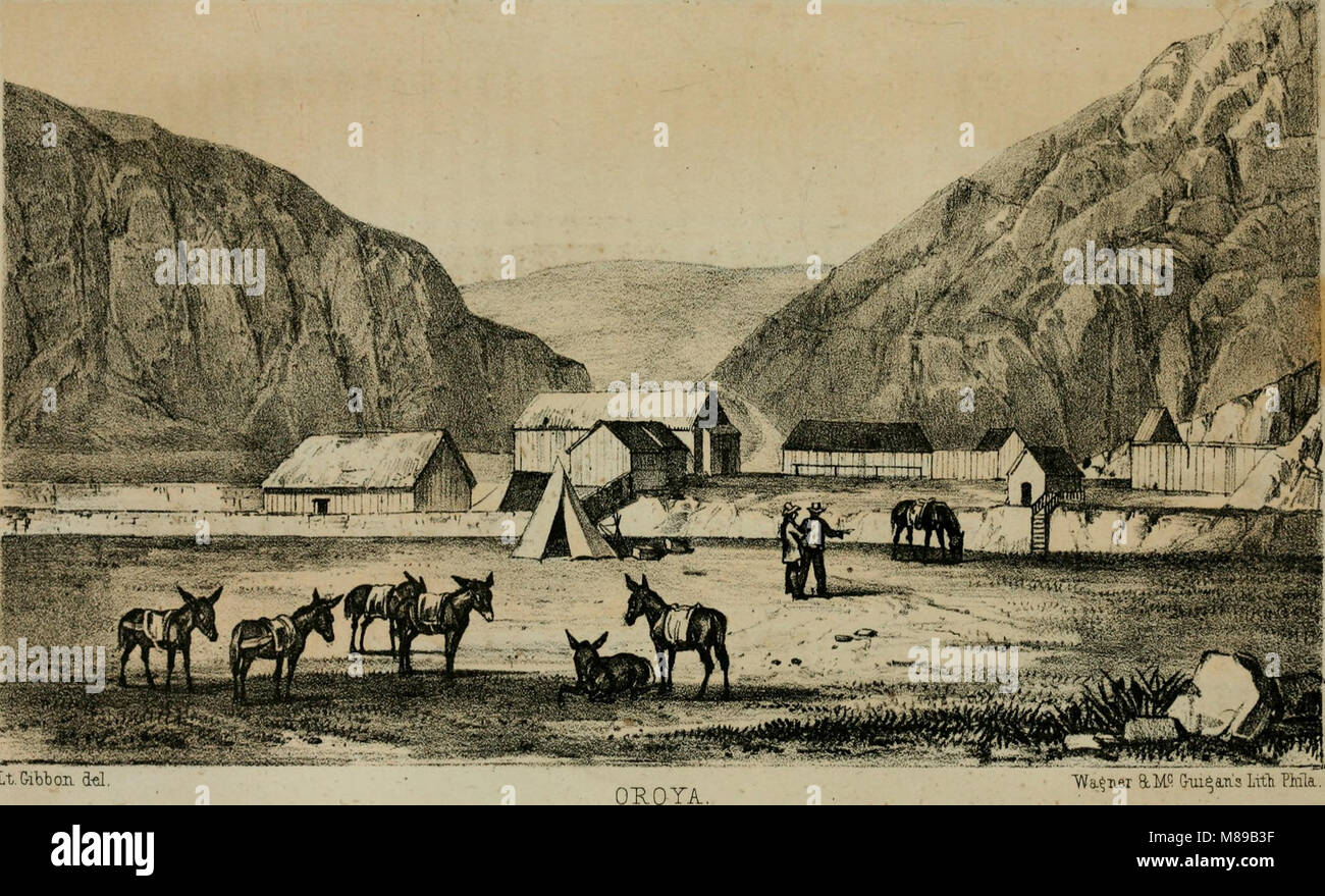 'Exploration of the Valley of the Amazon' (1854) describes an ...